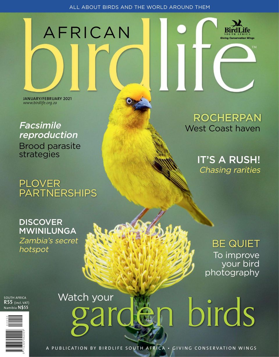 Get digital access to African Birdlife - January - February 2021 issue | Magzter.com