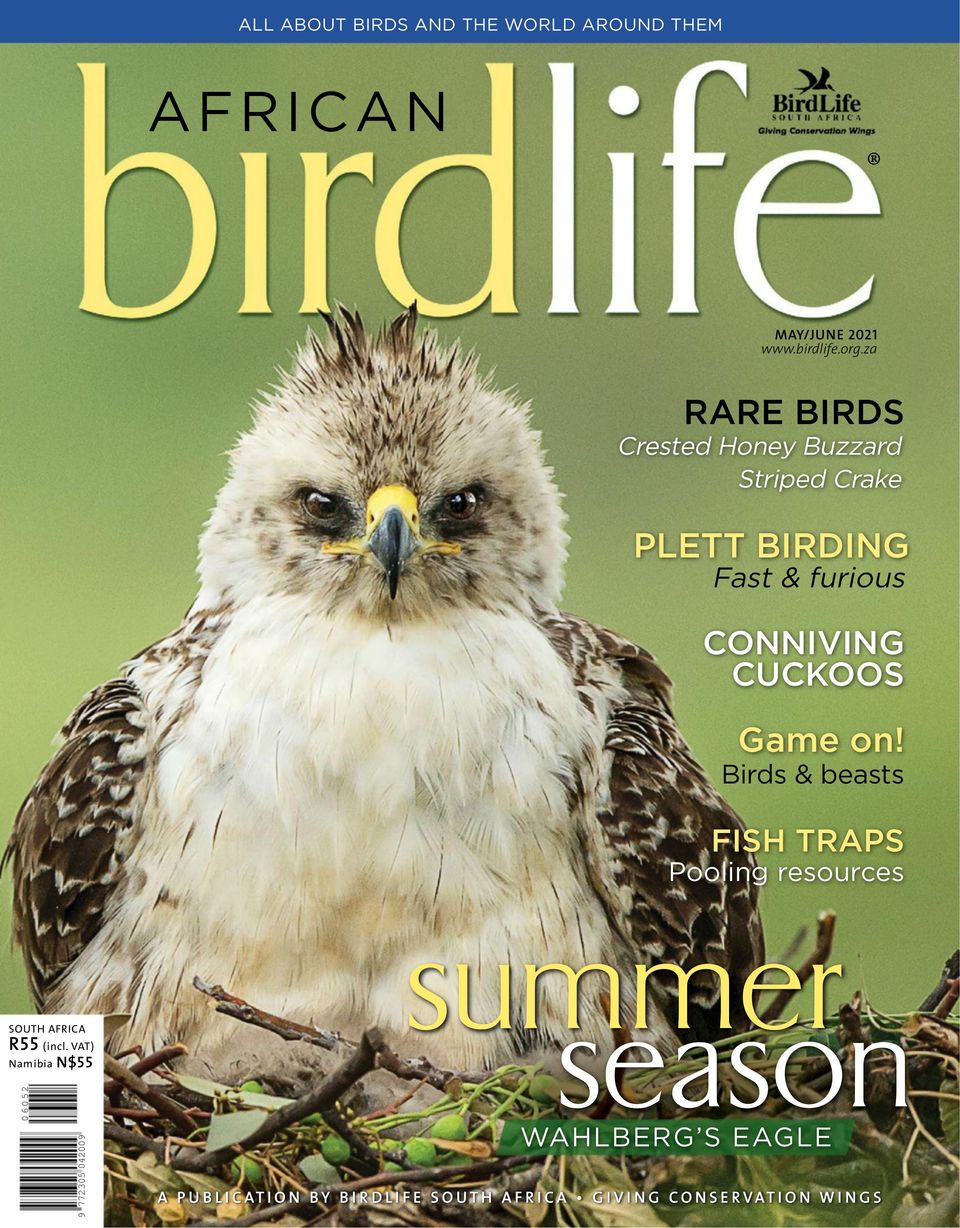 Get digital access to African Birdlife - May/June 2021 issue | Magzter.com