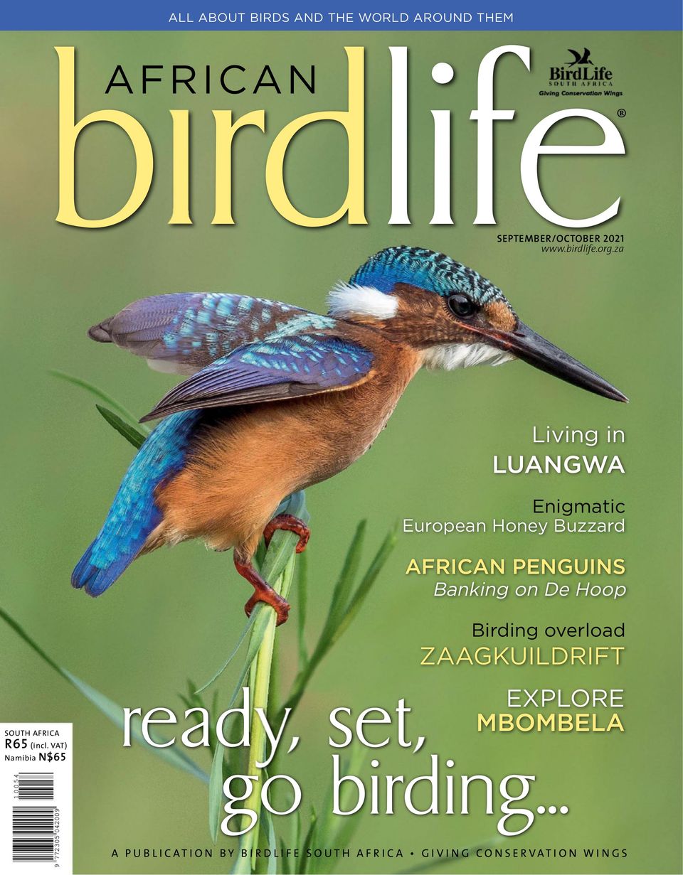 African Birdlife-September/October 2021 Magazine