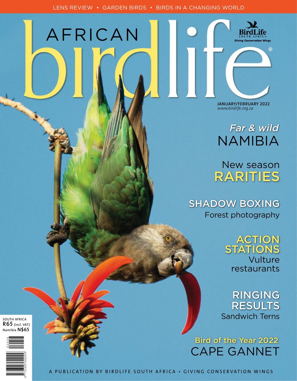 Get digital access to African Birdlife - January/February 2022 issue ...
