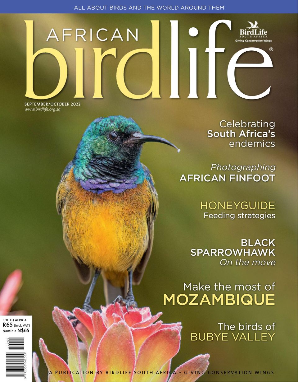 African Birdlife-September/October 2022 Magazine