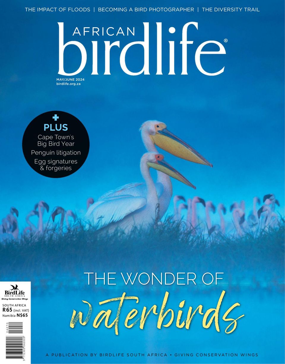 African Birdlife Magazine - Get your Digital Subscription