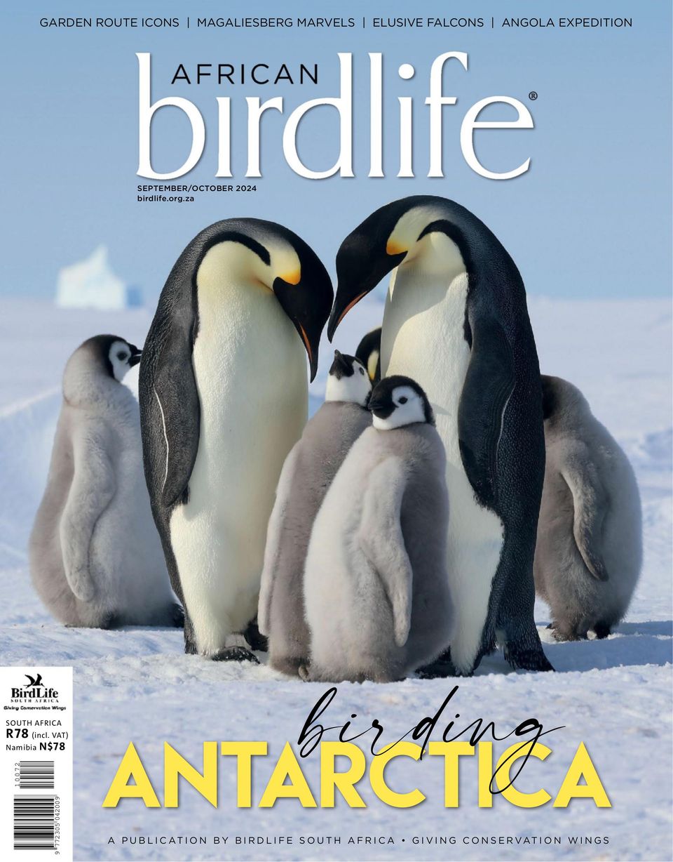 African Birdlife Magazine - Get your Digital Subscription