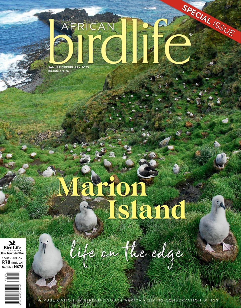 Get digital access to African Birdlife Magazine | Magzter.com