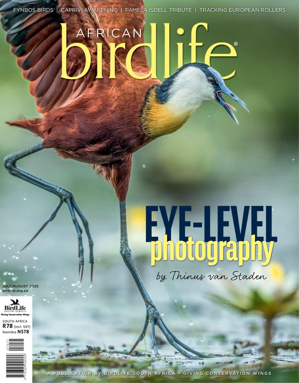 Get digital access to African Birdlife Magazine | Magzter.com