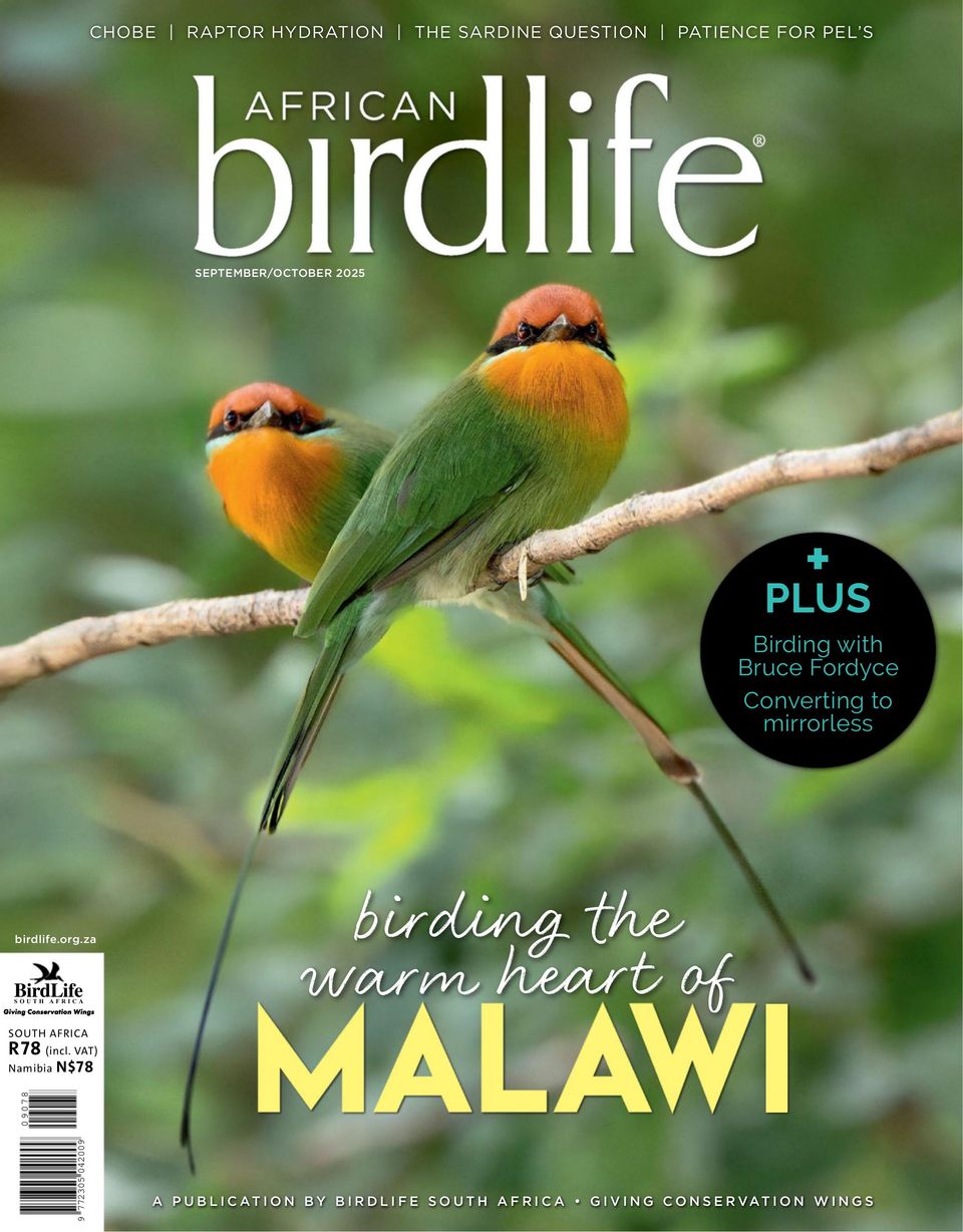 Get digital access to African Birdlife Magazine | Magzter.com