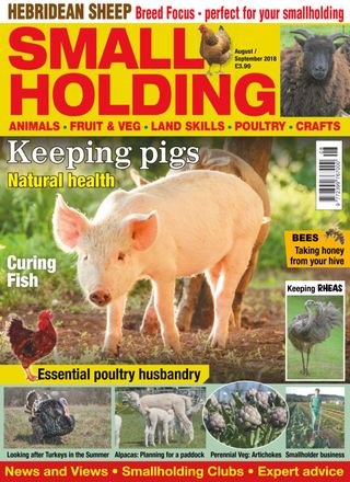 Small Holding Magazine - Get your Digital Subscription