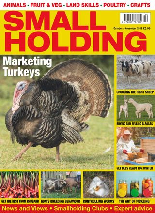 Small Holding Magazine - Get your Digital Subscription