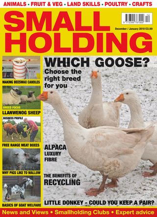 Small Holding Magazine - Get your Digital Subscription