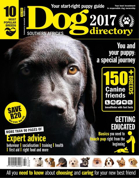 Get digital access to Dog Directory Magazine | Magzter.com