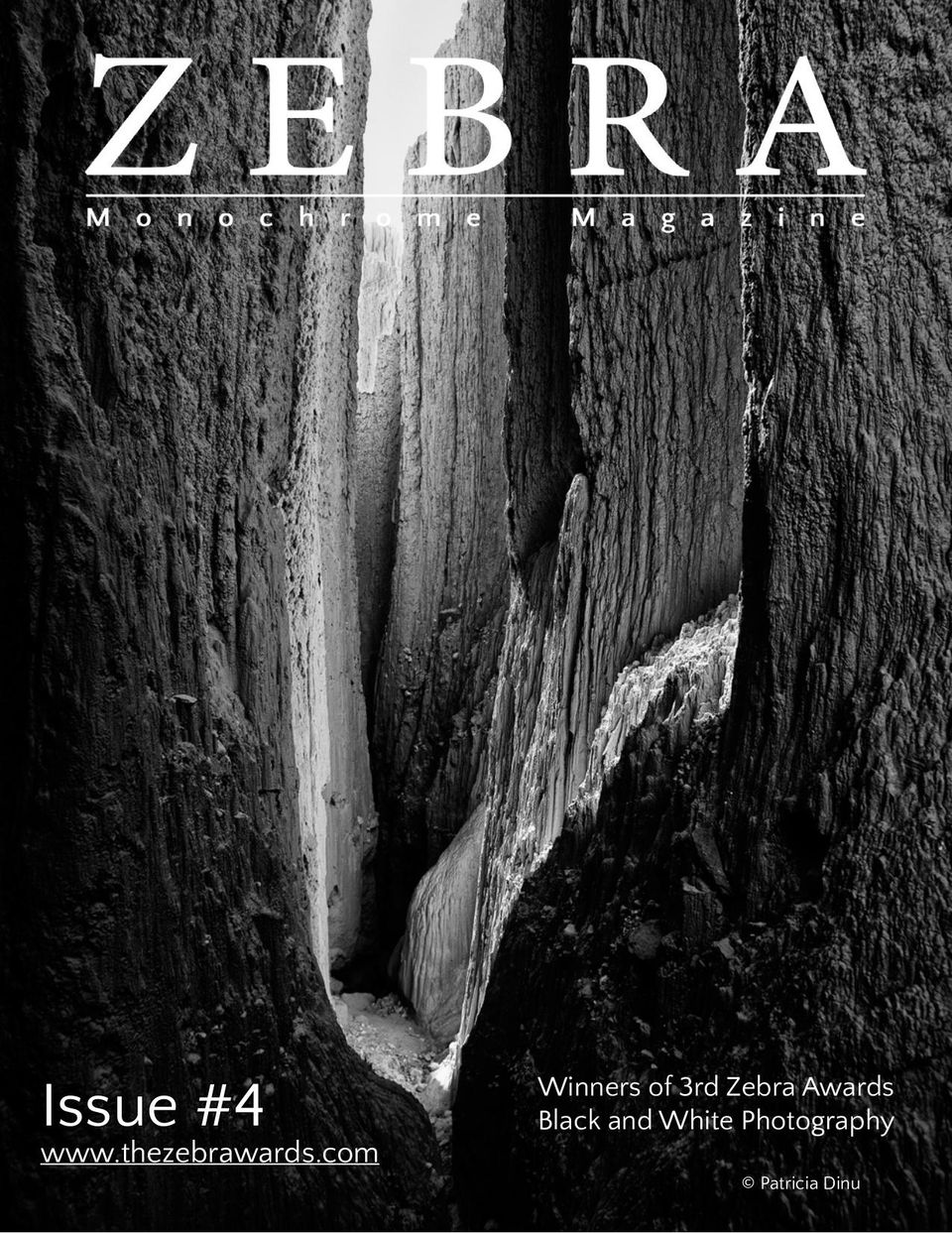 Get digital access to The Zebra Monochrome Magazine Magazine | Magzter.com