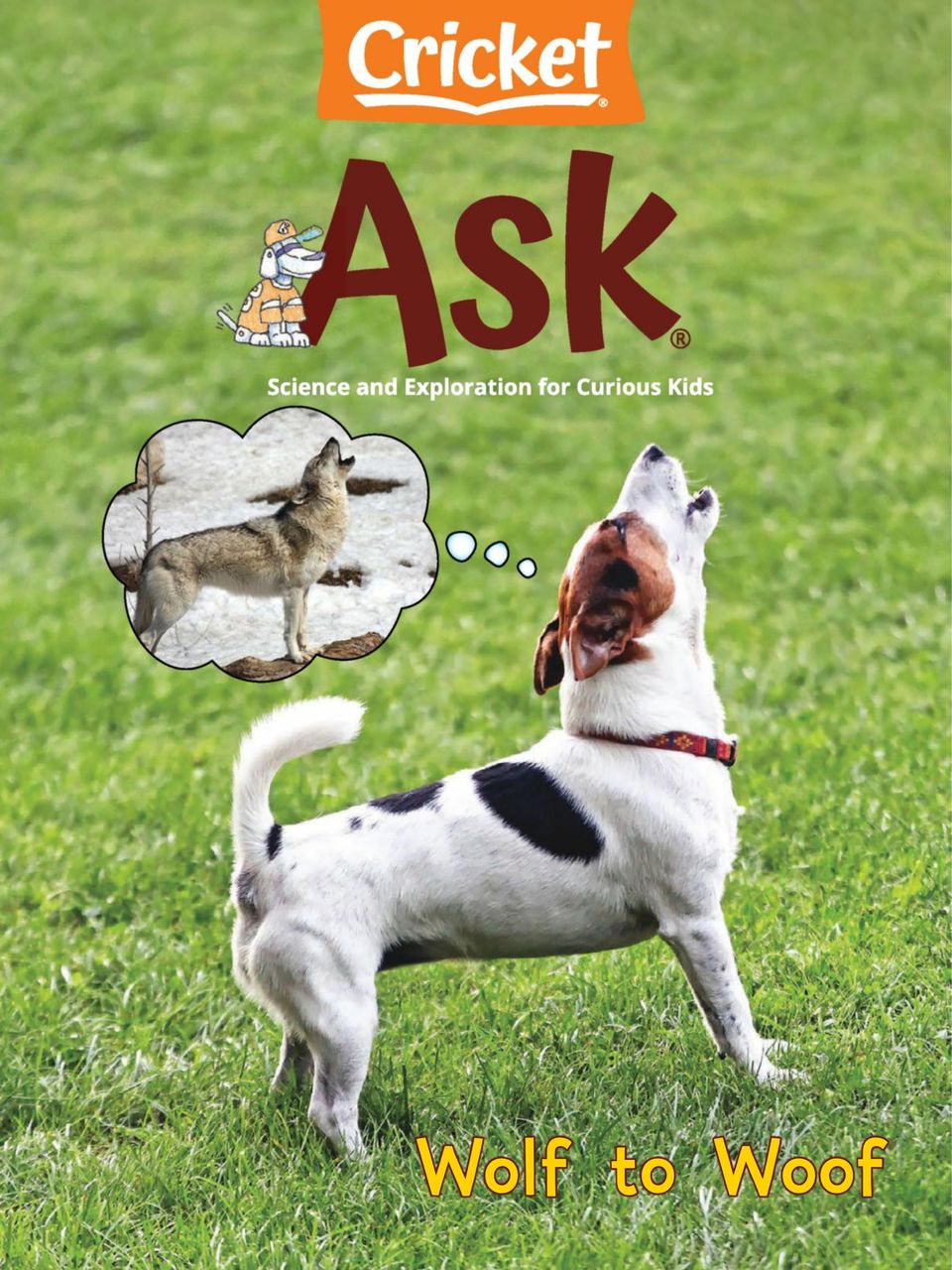 Ask Magazine for Kids Magazine - Get your Digital Subscription