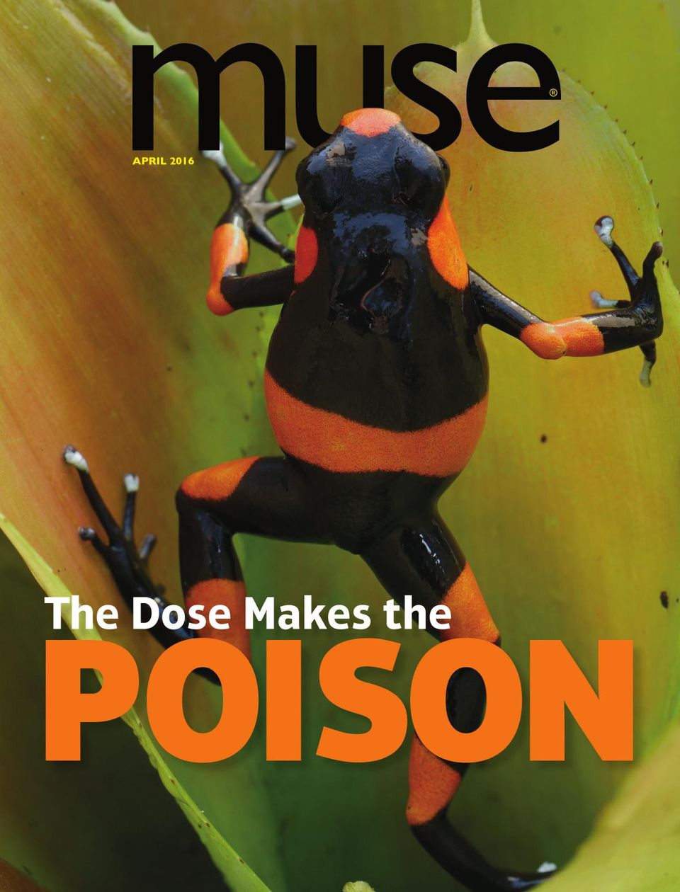 Muse Science Magazine for Kids-April 2016 Magazine