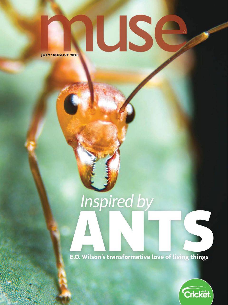 Get digital access to Muse Science Magazine for Kids - July/August 2020 ...