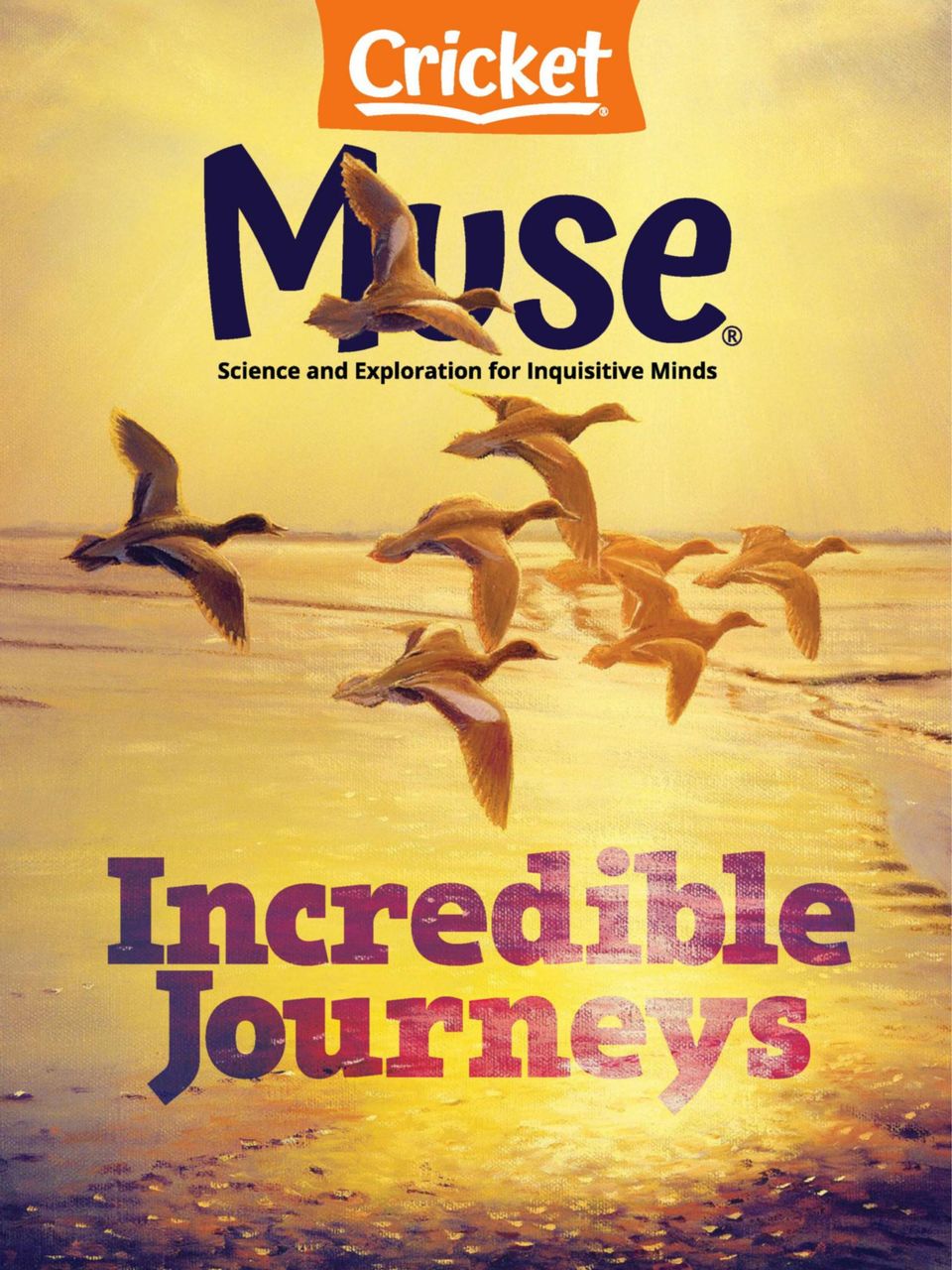 Muse Science Magazine for Kids-March 2023 Magazine