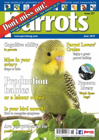 Parrots magazine Magazine - Get your Digital Subscription
