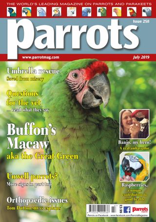 Parrots magazine Magazine - Get your Digital Subscription