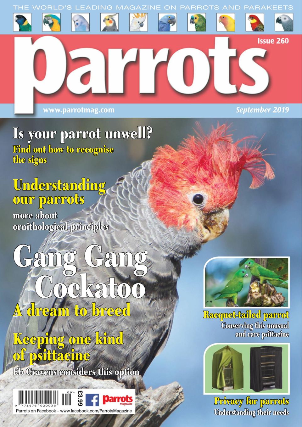 Get digital access to Parrots magazine - September 2019 issue | Magzter.com