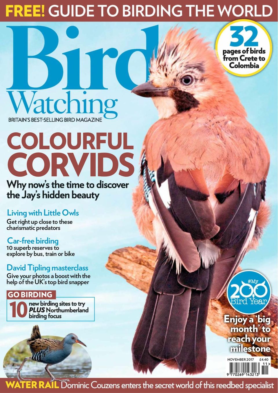 Get digital access to Bird Watching - November 2017 issue | Magzter.com