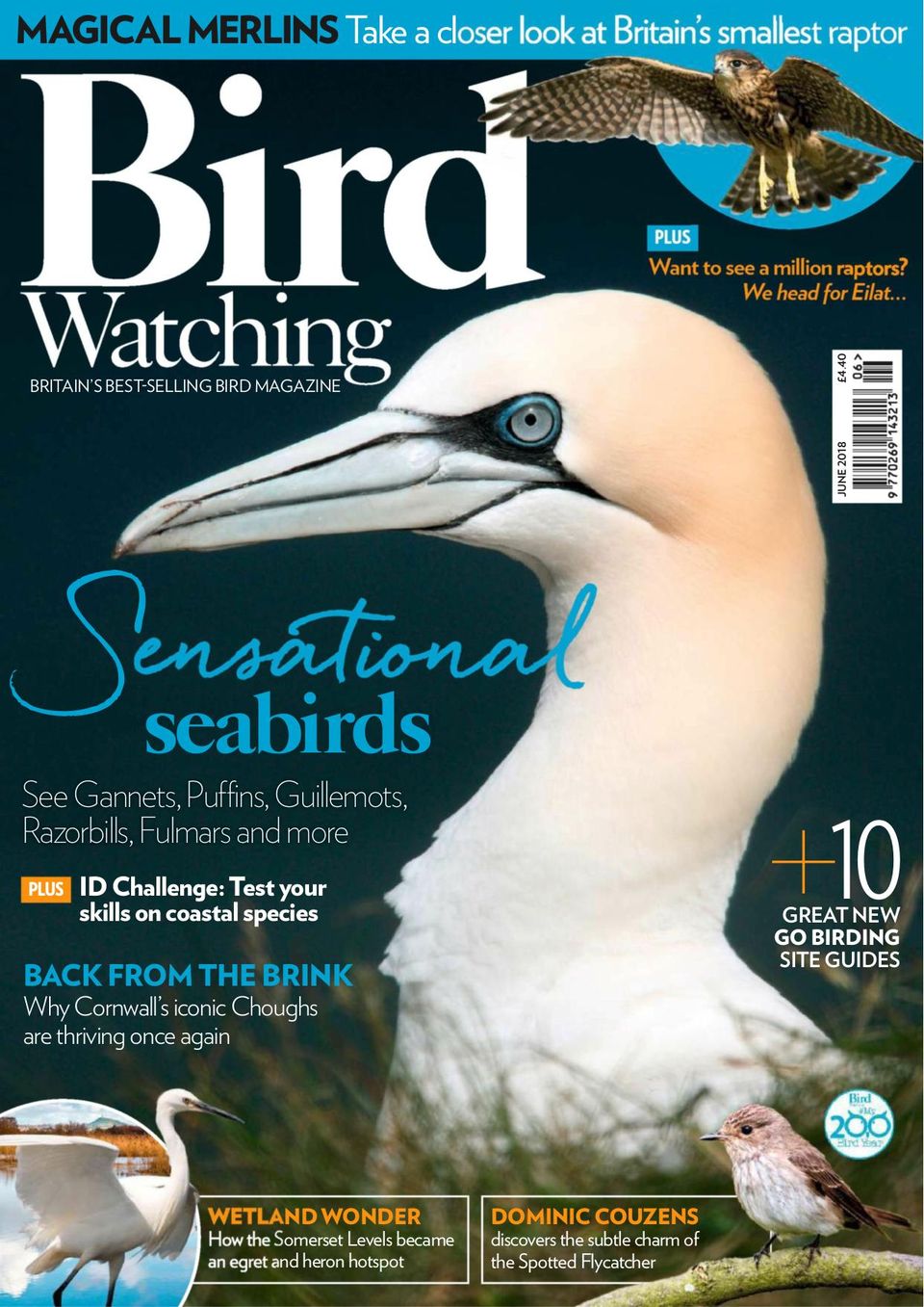 Get digital access to Bird Watching - June 2018 issue | Magzter.com