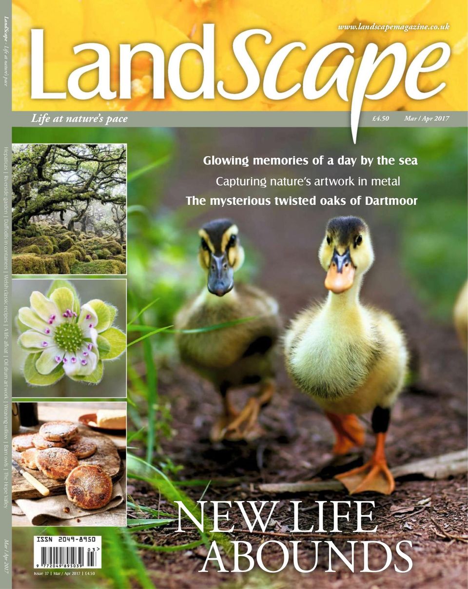Landscape-March/April 2017 Magazine - Get your Digital Subscription