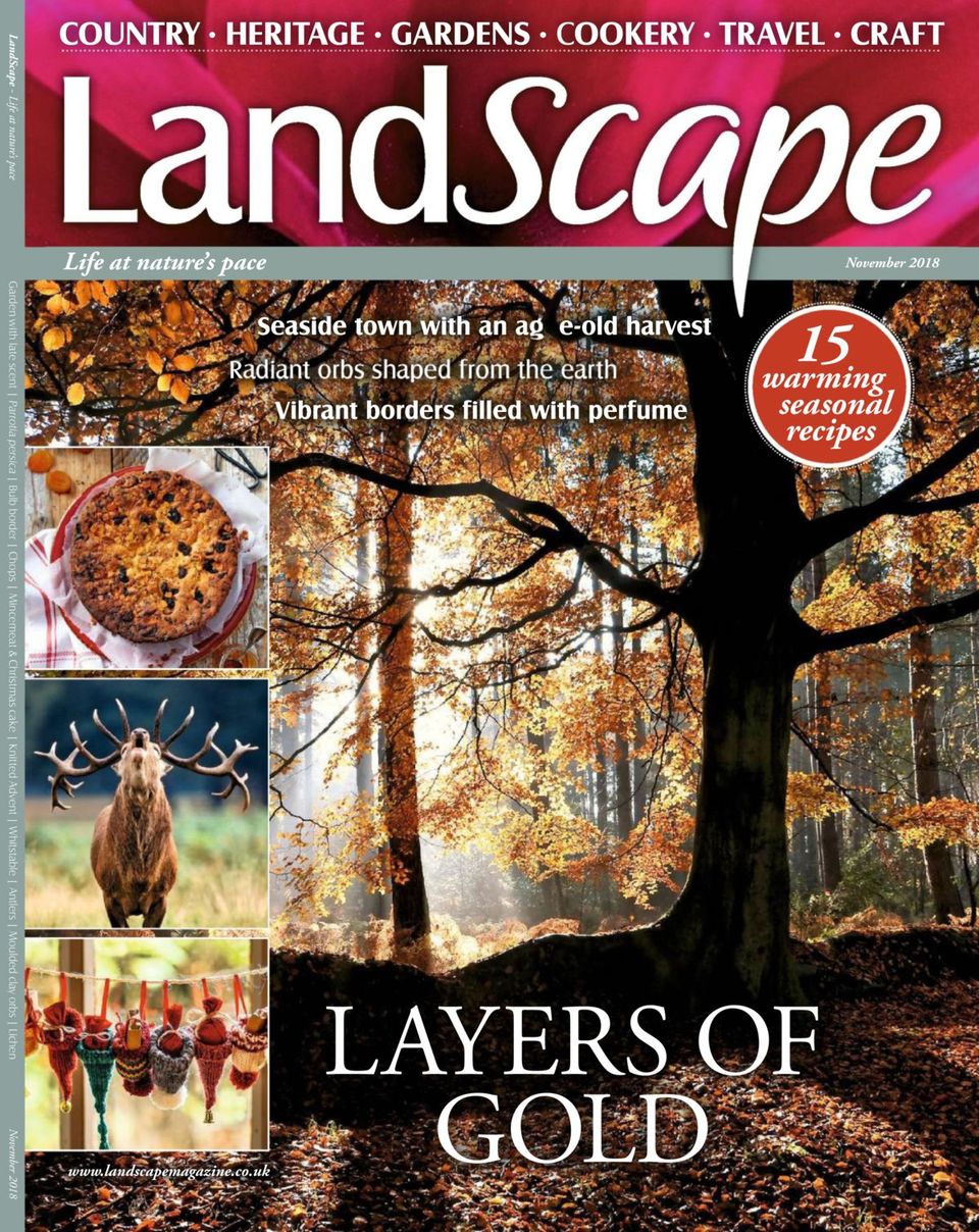 Landscape-November 2018 Magazine - Get your Digital Subscription