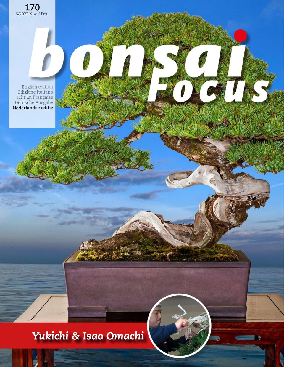 Bonsai Focus NL Magazine - Get your Digital Subscription