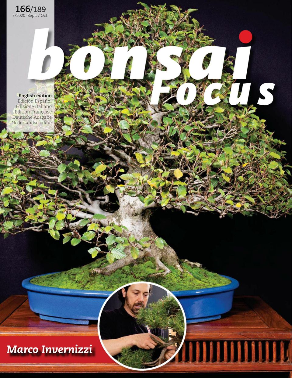 Get digital access to Bonsai Focus EN - September / October 2020 issue ...