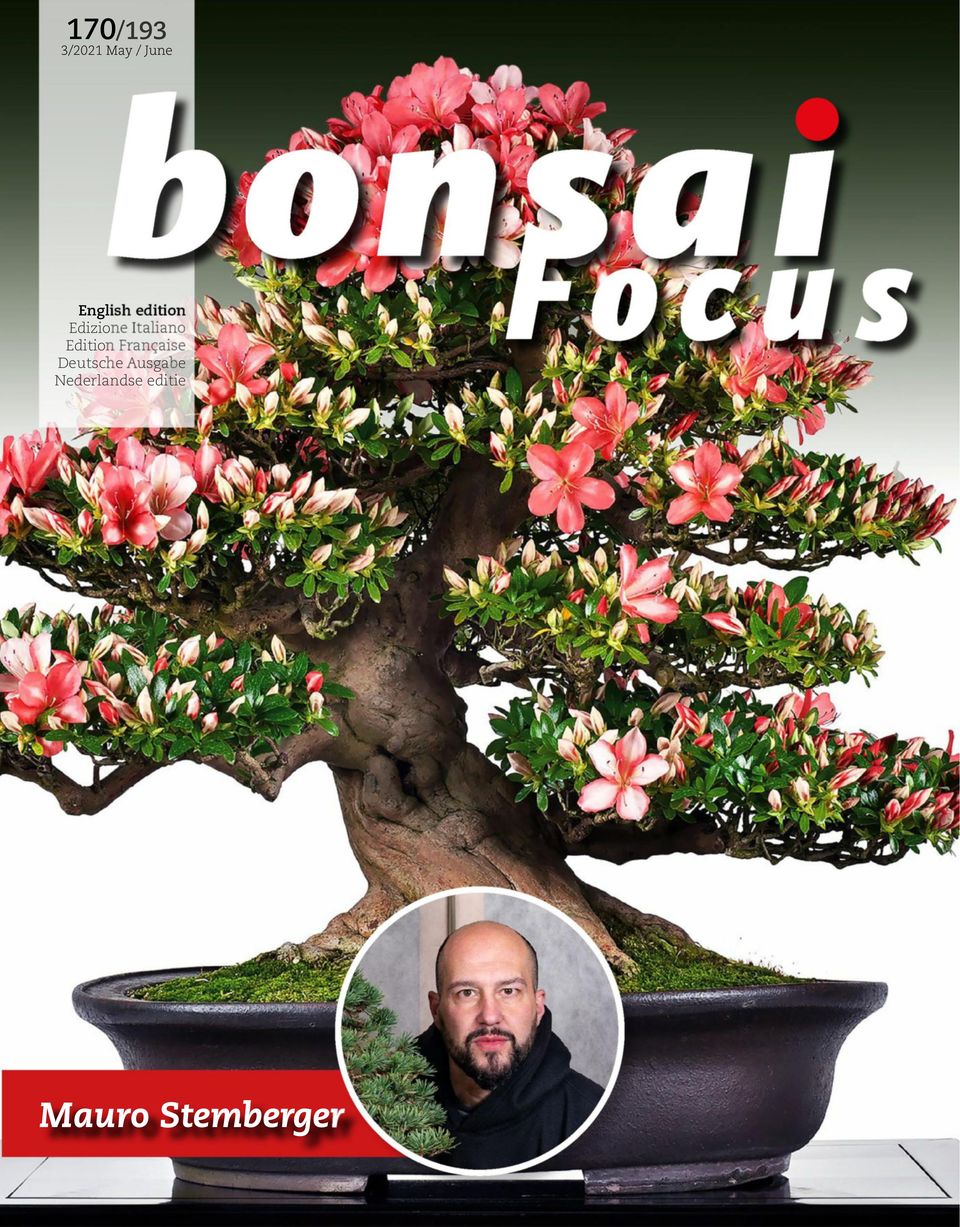 Get digital access to Bonsai Focus EN - May / June 2021 issue | Magzter.com