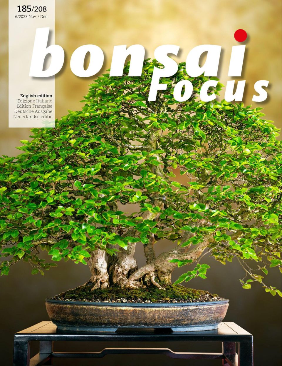 Bonsai Focus EN Magazine - Get your Digital Subscription