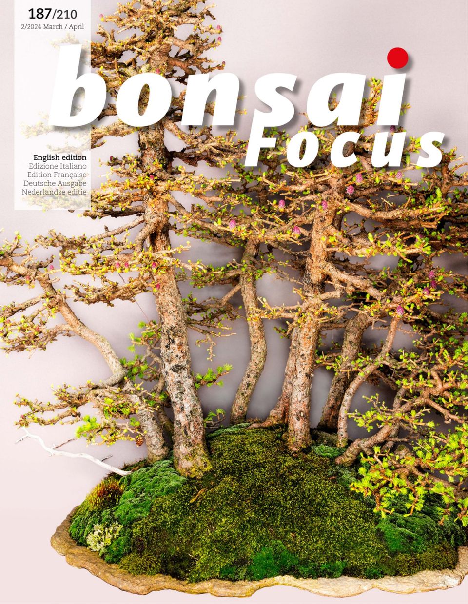 Get digital access to Bonsai Focus EN - March - April 2024 issue ...