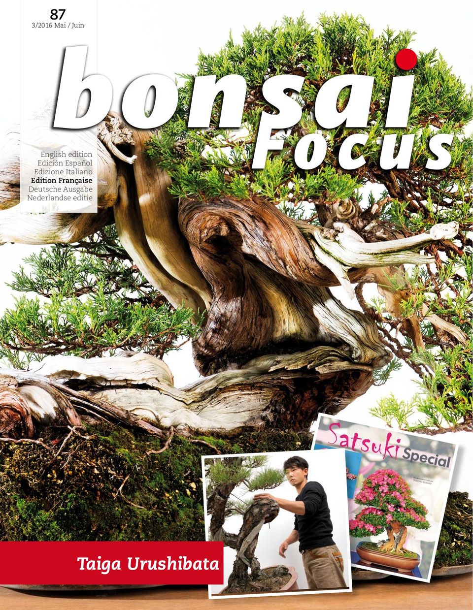 Get digital access to Bonsai Focus FR - May/Juin 2016 issue | Magzter.com