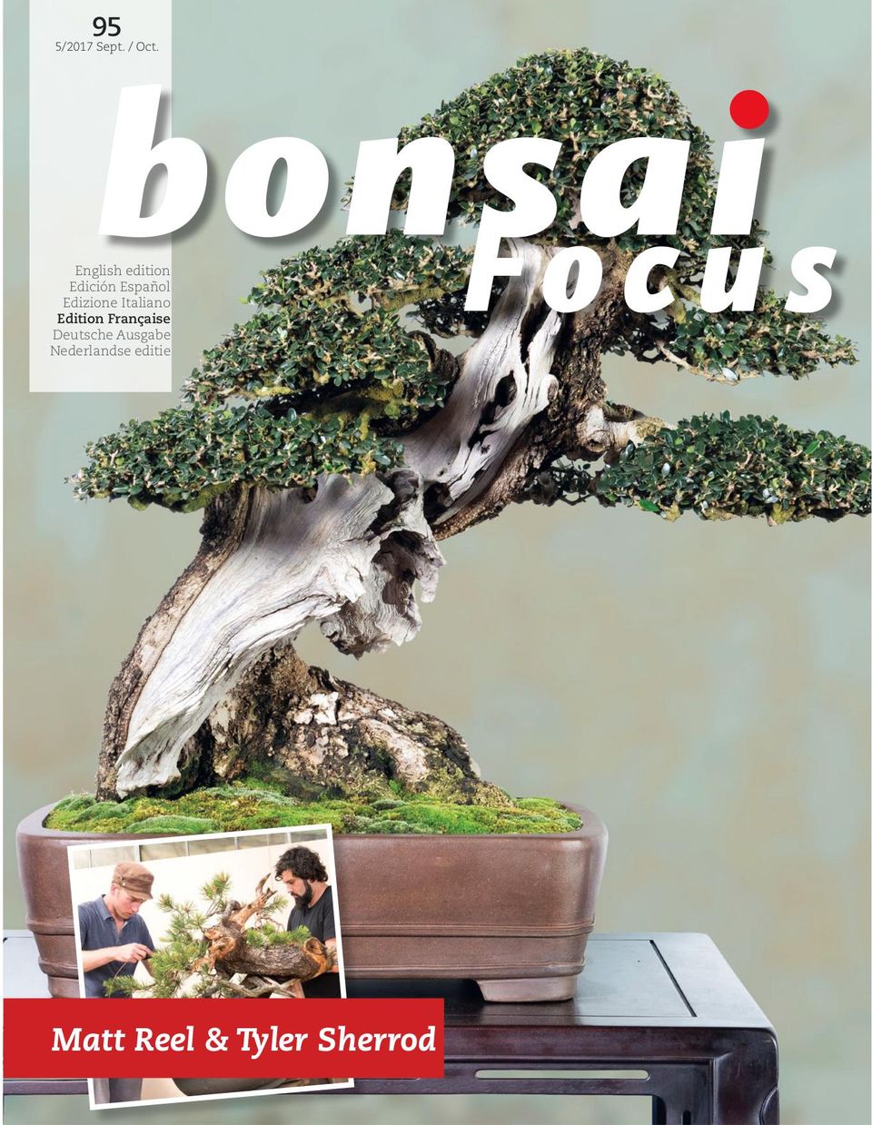 Bonsai Focus FR-September / October 2017 Magazine