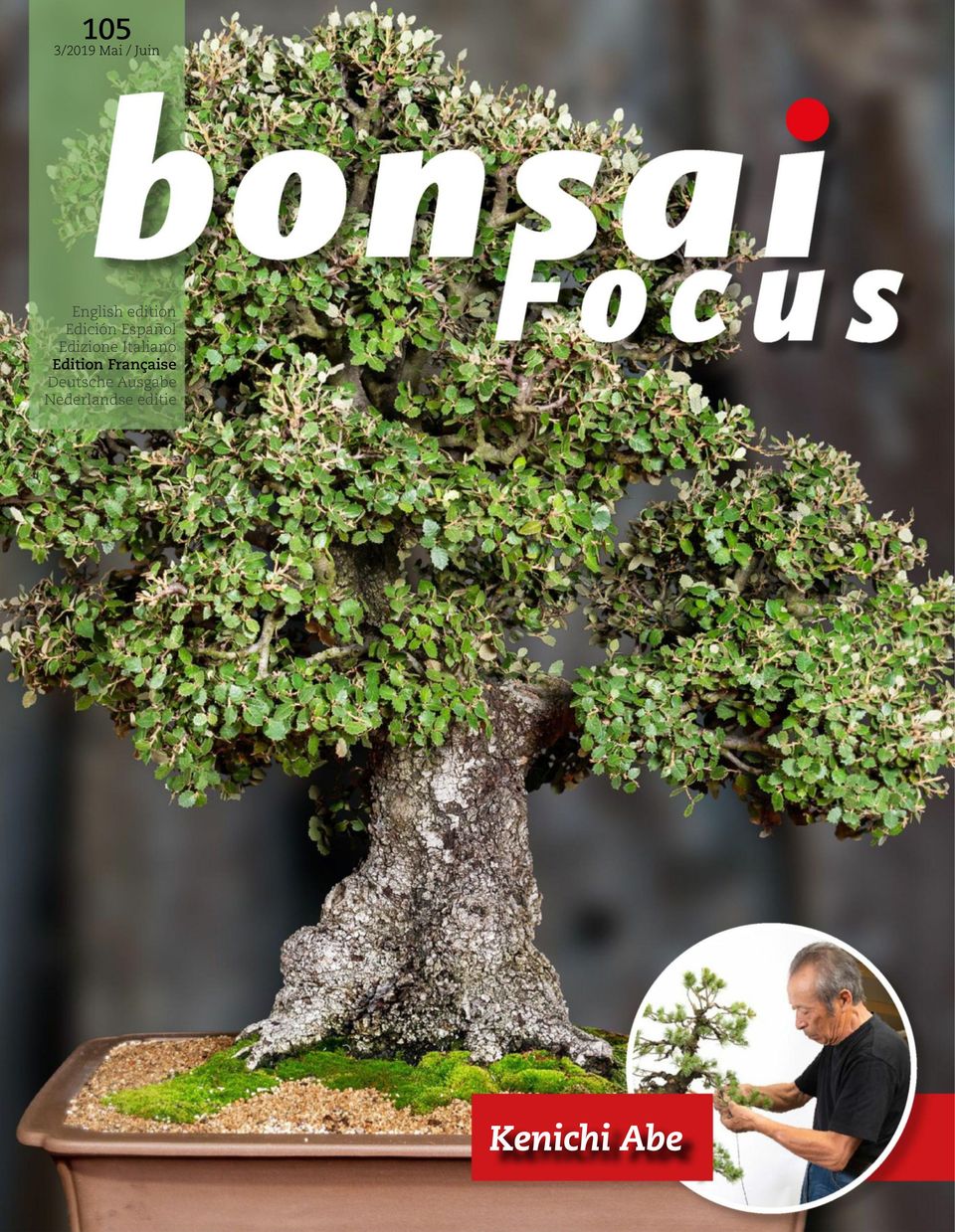 Get digital access to Bonsai Focus FR - Mai / Juin 2019 issue | Magzter.com