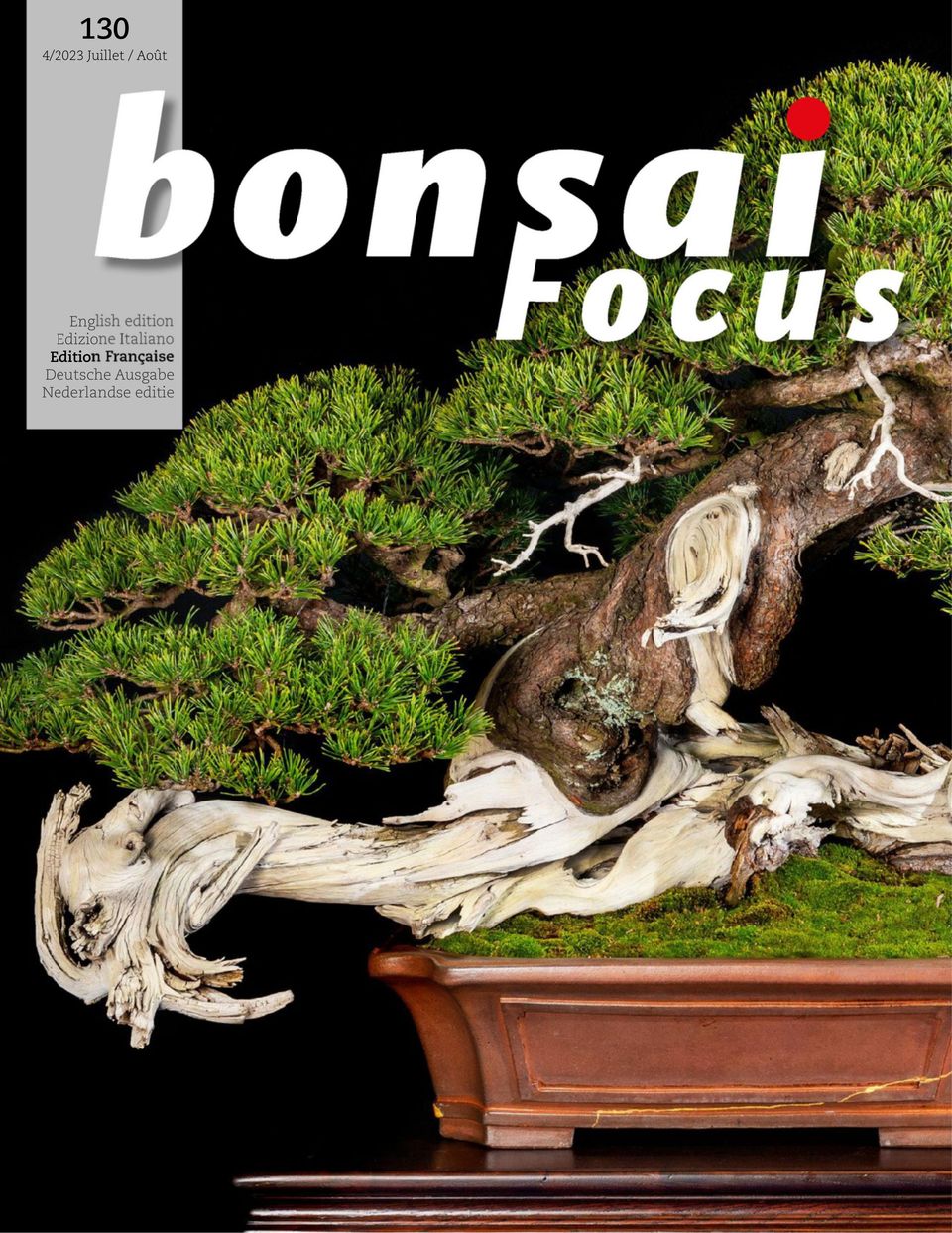 Bonsai Focus FR Magazine - Get your Digital Subscription