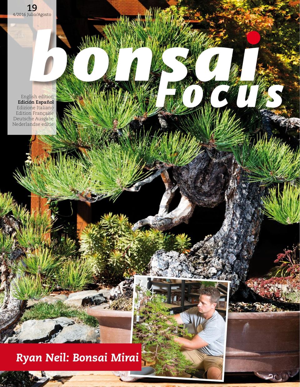 Get digital access to Bonsai Focus ES - Julio/Agosto 2016 issue ...