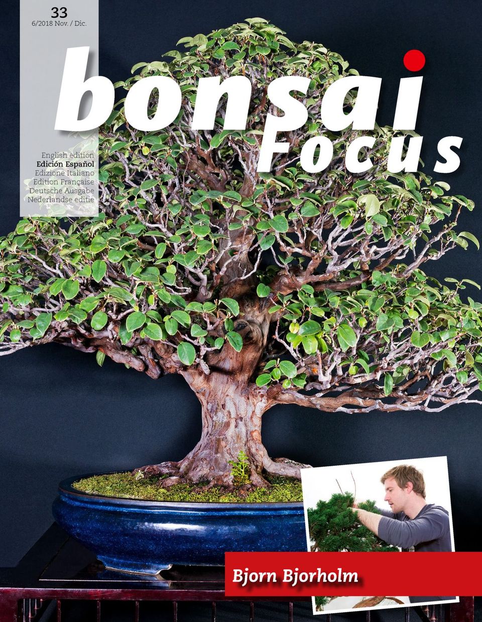 Get digital access to Bonsai Focus ES - Noviembre/Diciembre 2018 issue ...