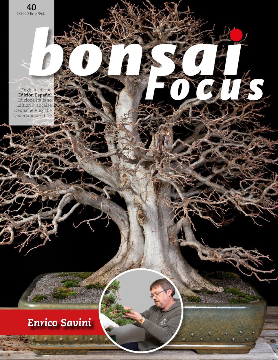Get digital access to Bonsai Focus ES - Enero / Febrero 2020 issue | Magzter.com