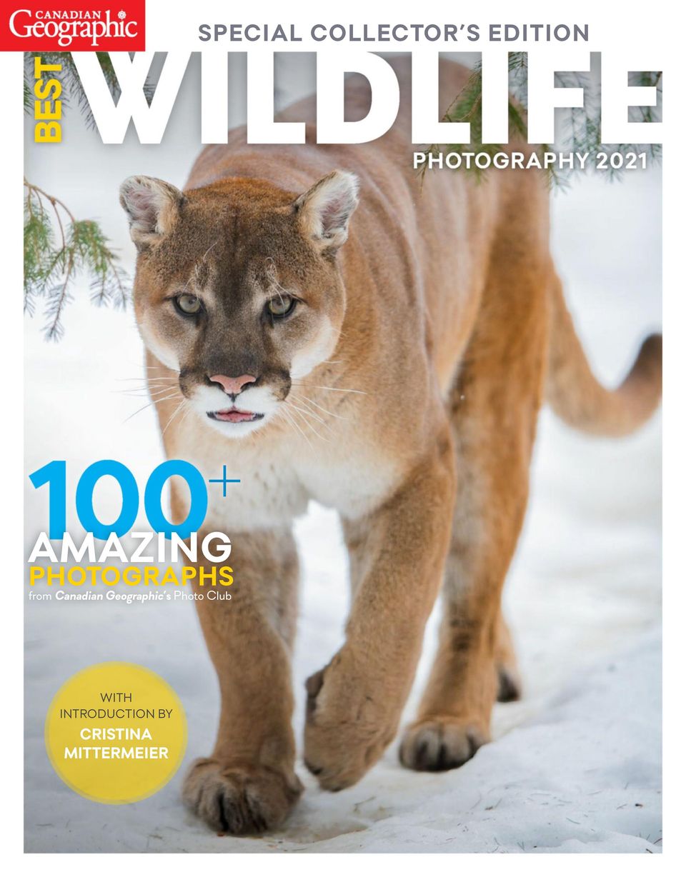 Get digital access to Canadian Geographic - Best Wildlife Photography ...