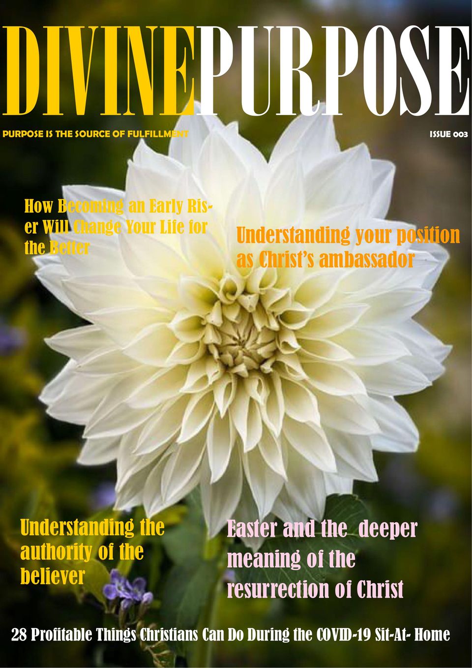 Divine Purpose Magazine - Get your Digital Subscription