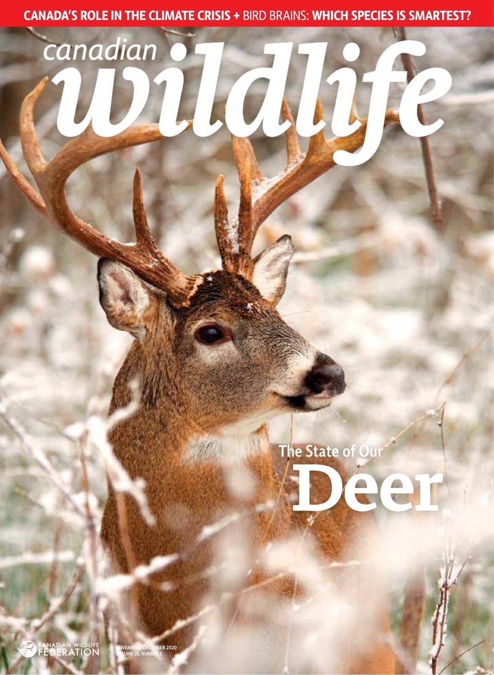 Get digital access to Canadian Wildlife - November/December 2020 issue ...