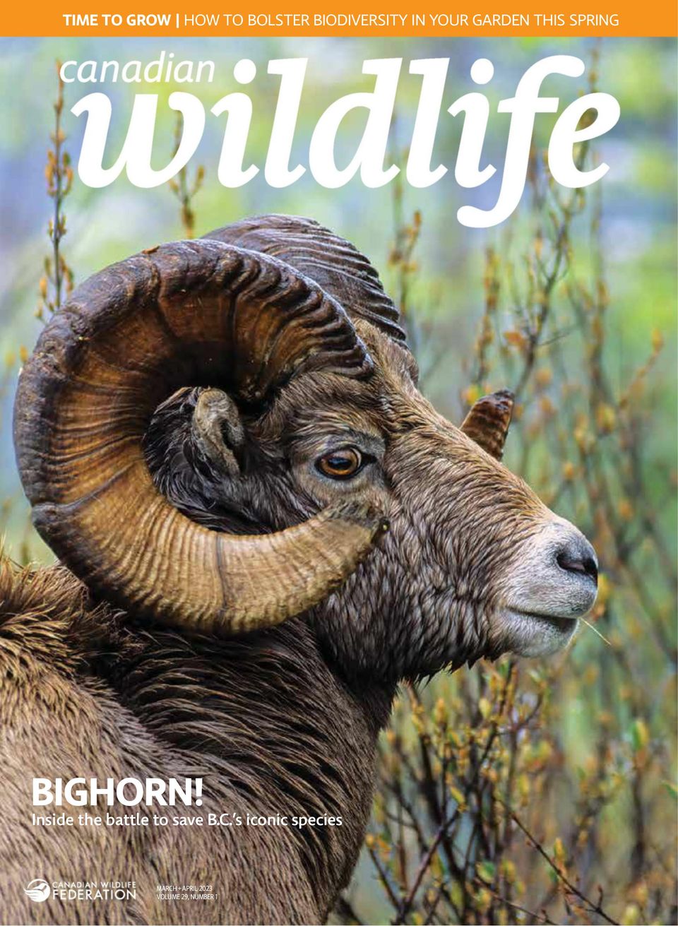 Canadian Wildlife Magazine - Get your Digital Subscription