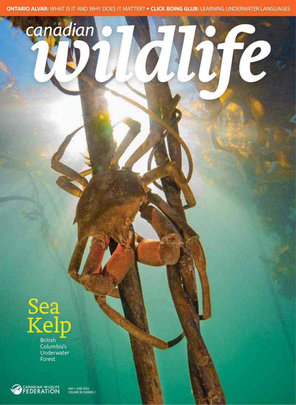 Canadian Wildlife Magazine - Get your Digital Subscription