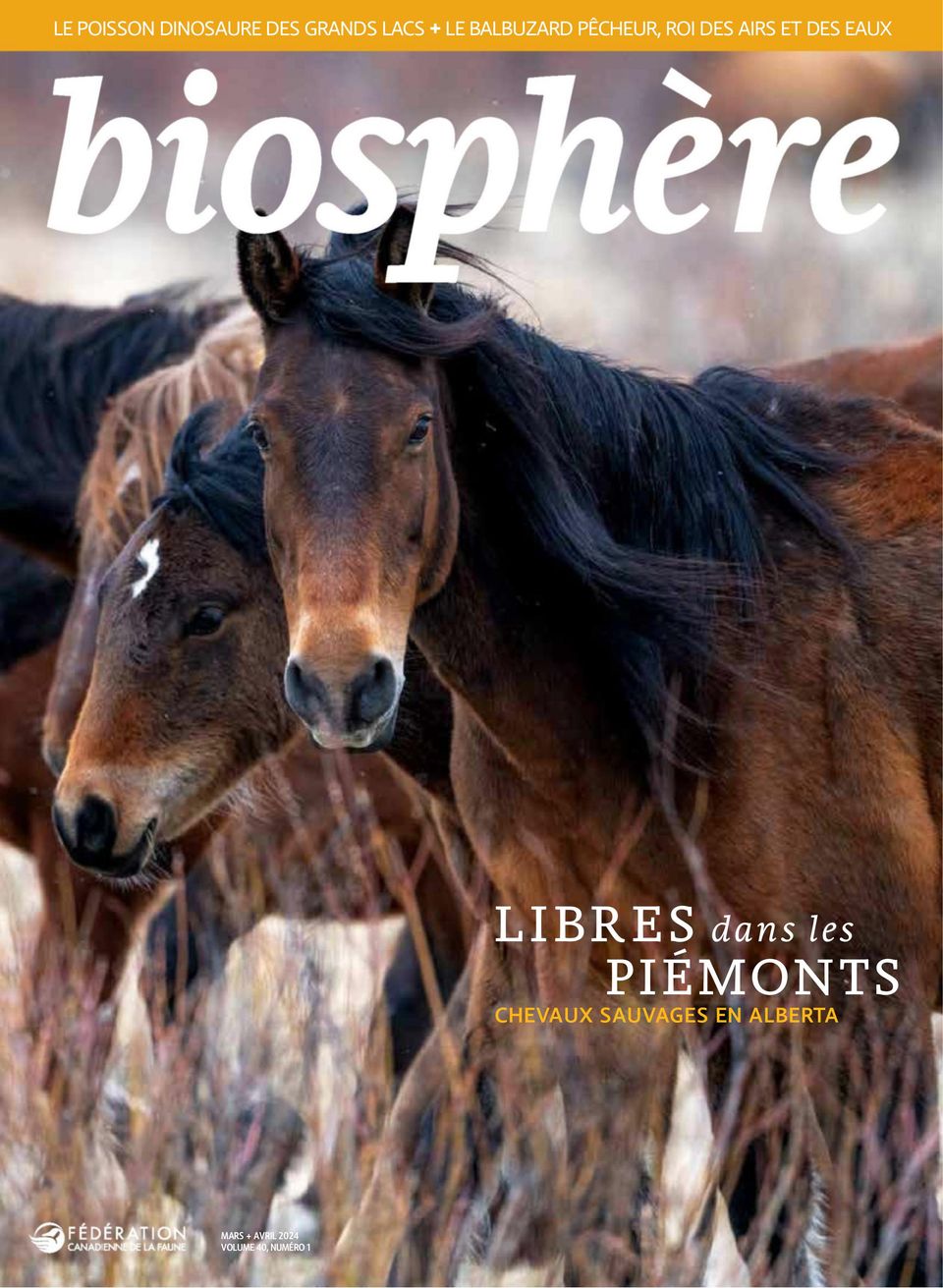 Biosphère Magazine - Get your Digital Subscription