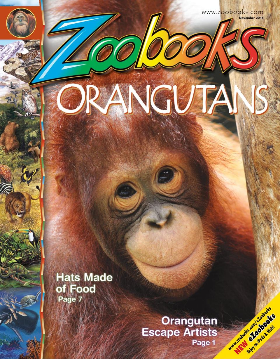 Zoobooks-November 2016 Magazine - Get your Digital Subscription