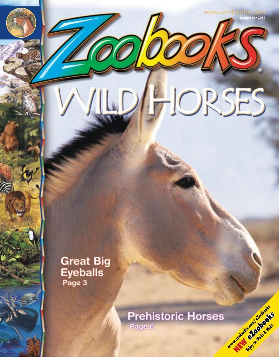 Get digital access to Zoobooks - September 2017 issue | Magzter.com