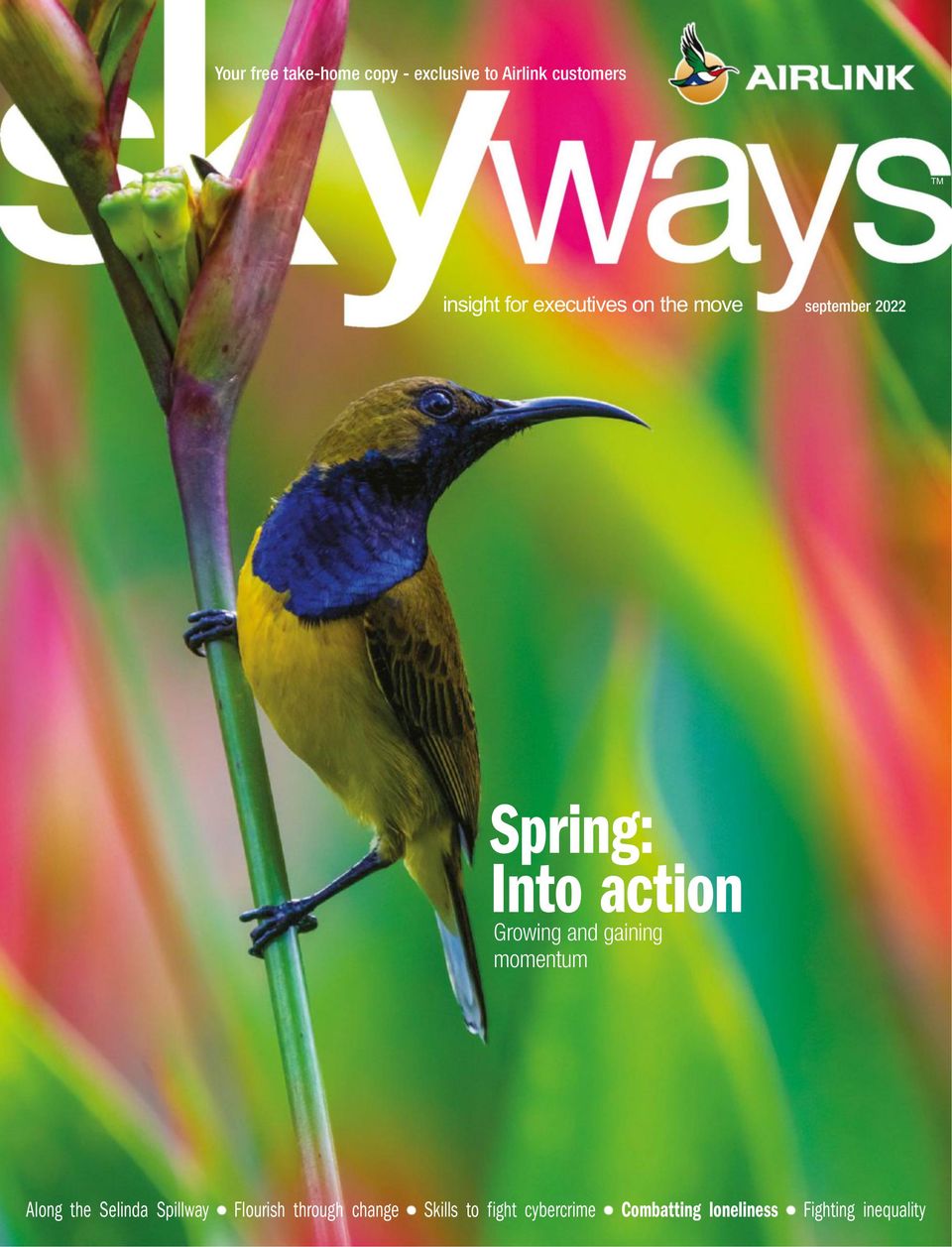 Skyways Magazine - Get your Digital Subscription