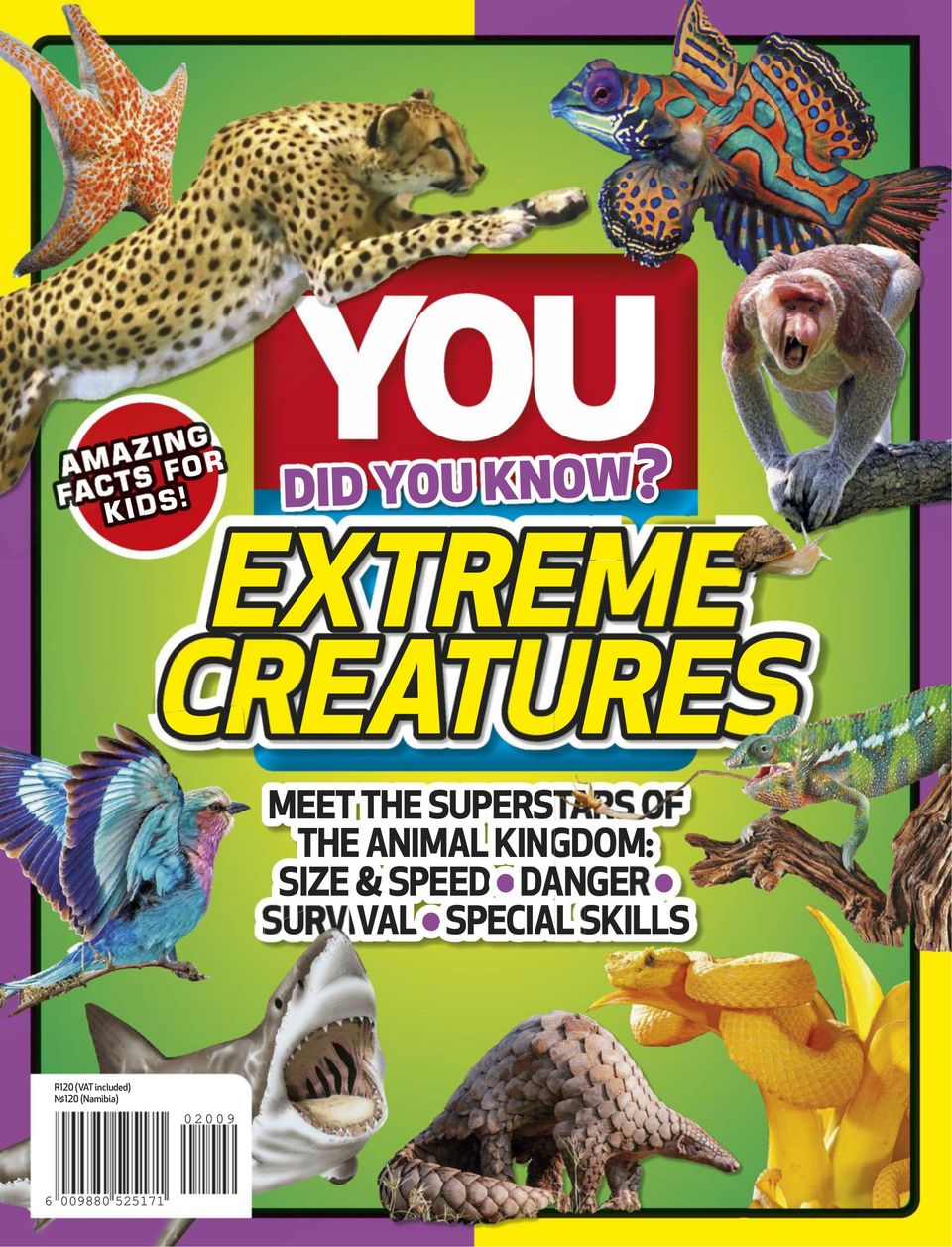 YOU Did You Know? Magazine - Get your Digital Subscription
