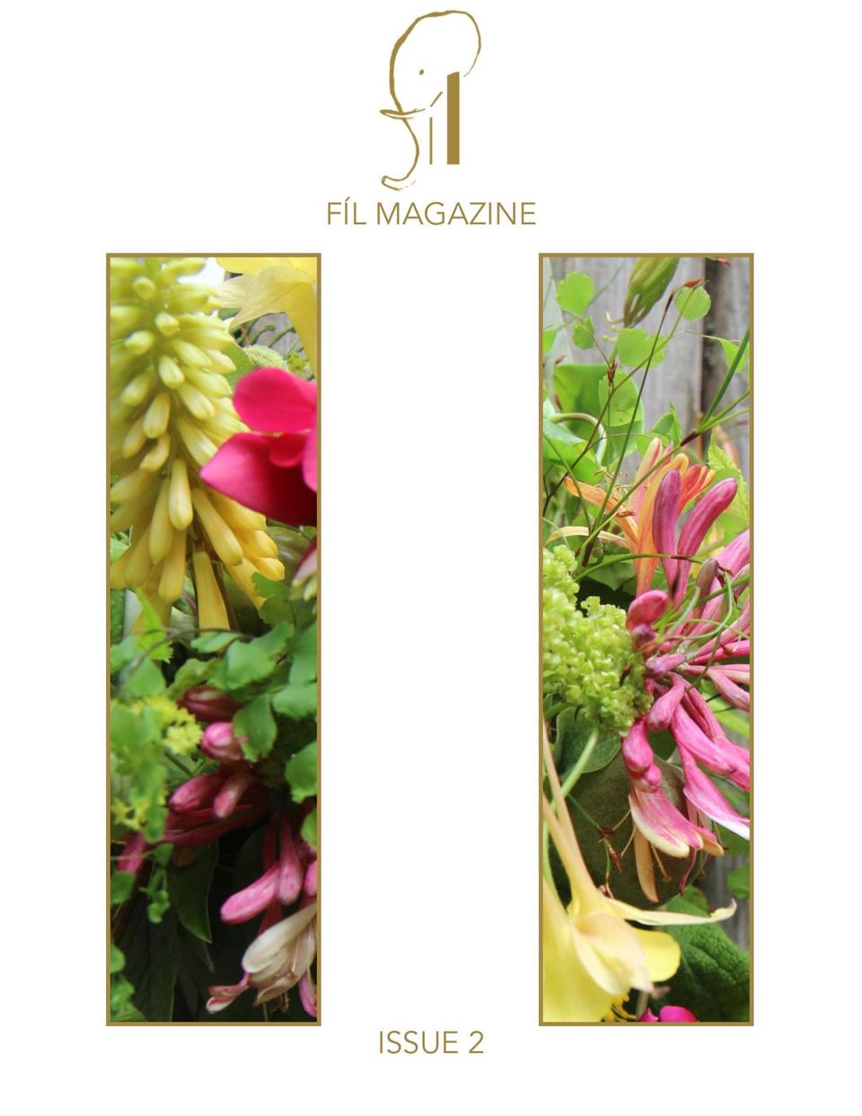 Fil Magazine Magazine - Get your Digital Subscription