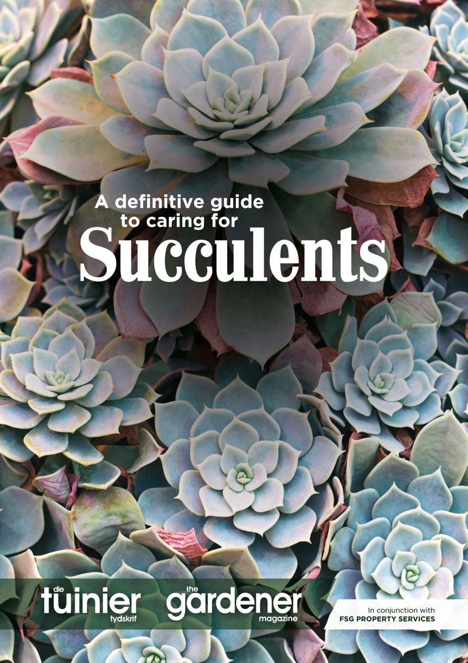 Get digital access to A definitive Guide to Caring for Succulents ...